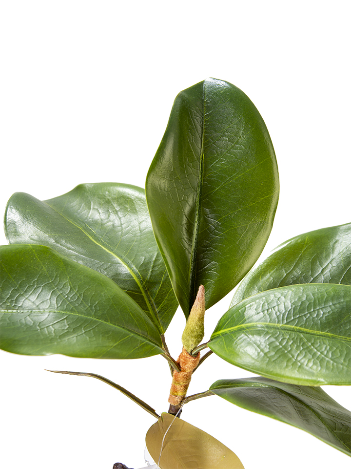 American Best. 18" MAGNOLIA LEAF SPRAY
